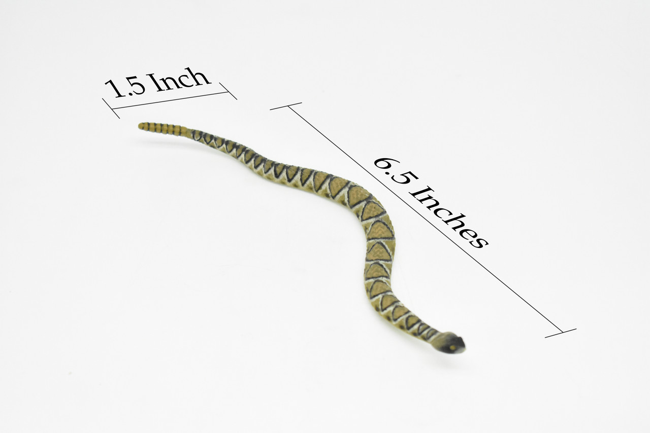 Rattlesnake, Diamond Back, Museum Quality Rubber Snake, Educational ...
