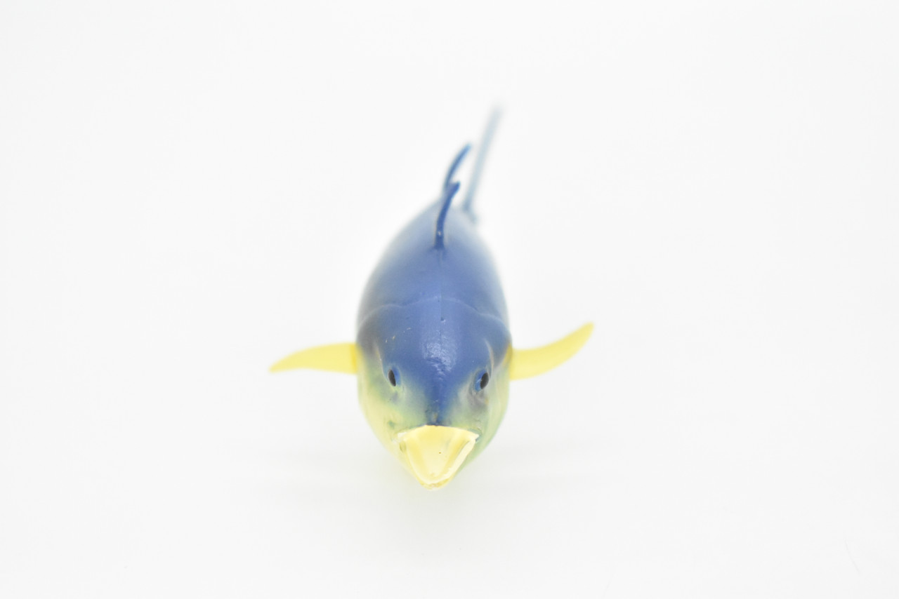 Yellowfin Tuna, Fish, Very Realistic Rubber Reproduction, Hand Painted ...