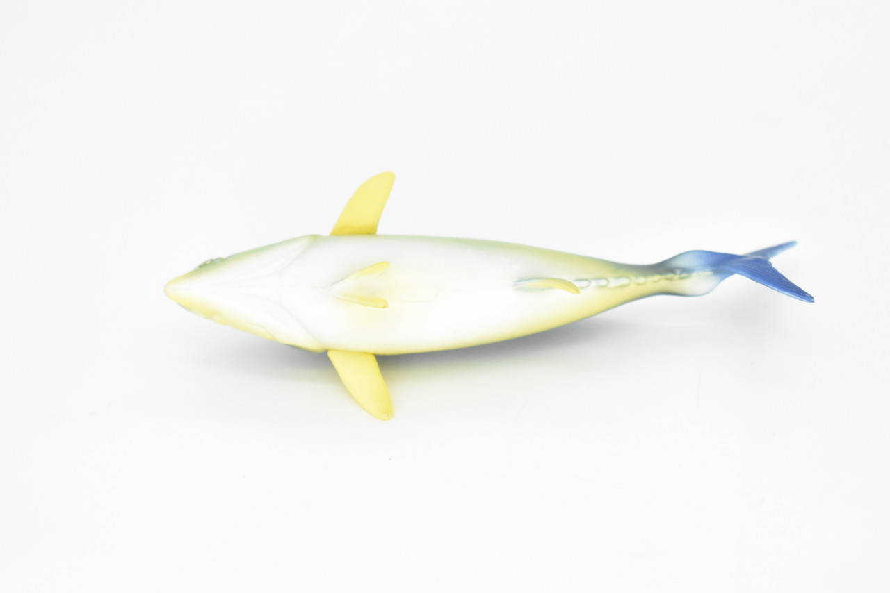Yellowfin Tuna, Fish, Very Realistic Rubber Reproduction, Hand Painted ...