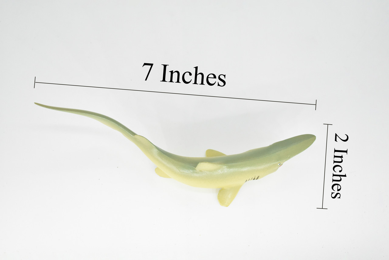 Goblin Shark, Very Realistic Rubber Reproduction, Hand Painted, 7 ...