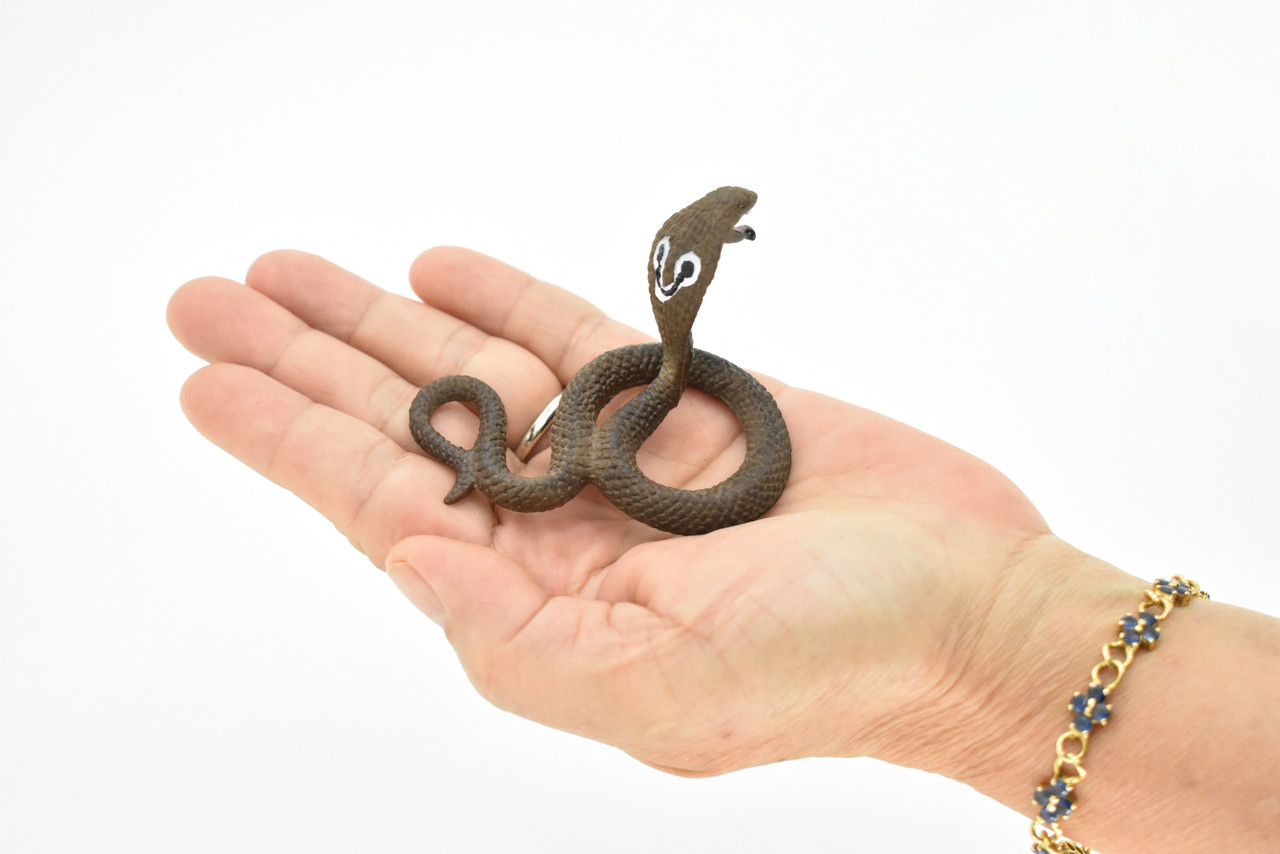 Cobra, King, Snake, Reptiles, Very Realistic Rubber Reproduction, Hand ...