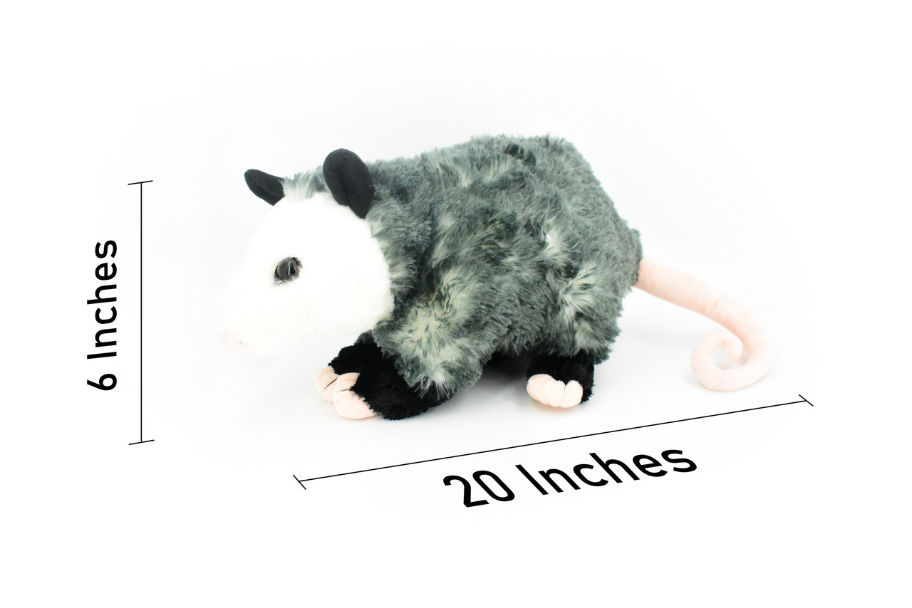 Opossum, Posam, Marsupial, Realistic, Lifelike, Stuffed, Soft, Toy ...