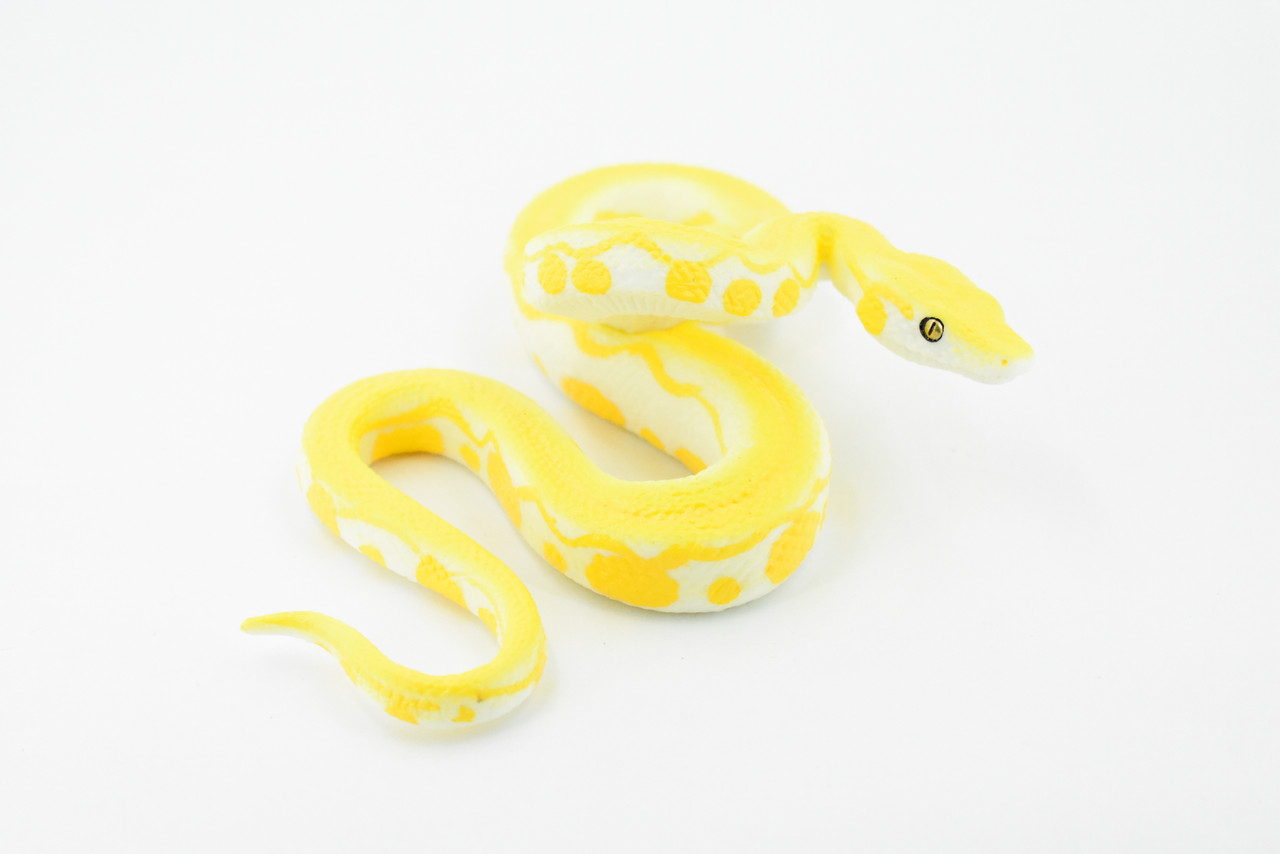 Snake, Burmese Python, Yellow, Rubber Reptile, Museum Quality, Hand ...