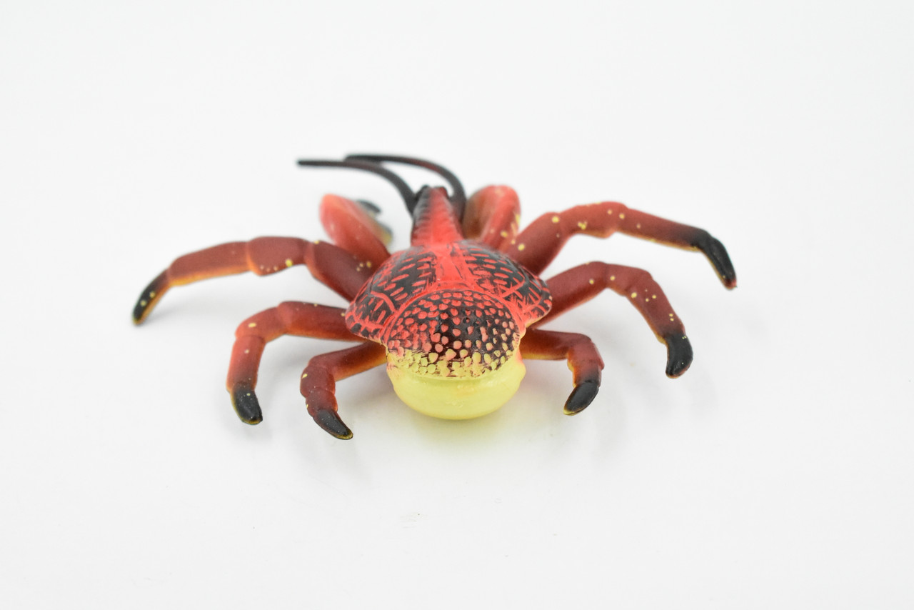 Crab, Coconut Crab, Museum Quality, Hand Painted, Rubber Crustaceans ...