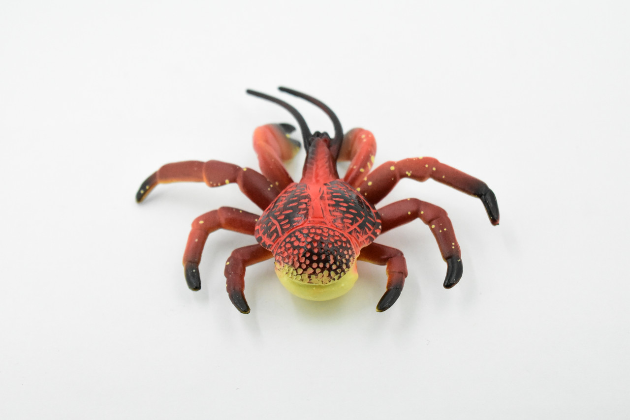 Crab, Coconut Crab, Museum Quality, Hand Painted, Rubber Crustaceans ...