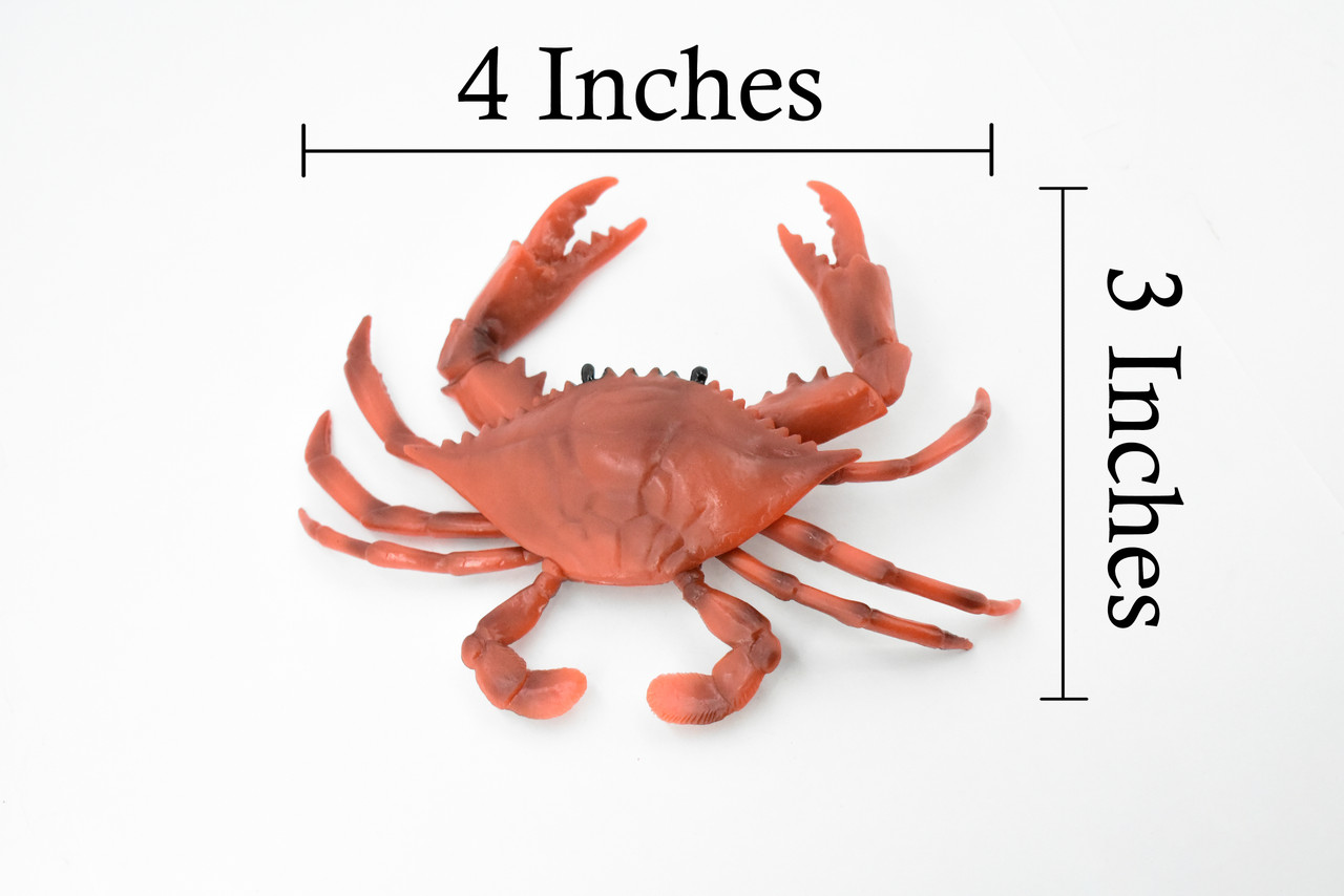 Crab, Red Rock Crab, Museum Quality, Hand Painted, Rubber Crustaceans ...