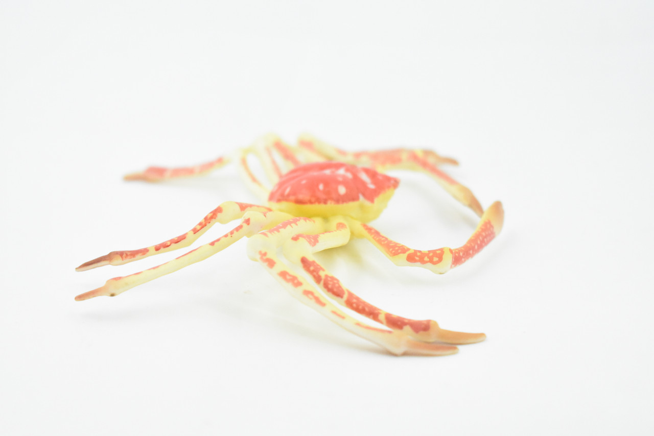 Crab, Spider Crab, Museum Quality, Hand Painted, Rubber Crustaceans ...