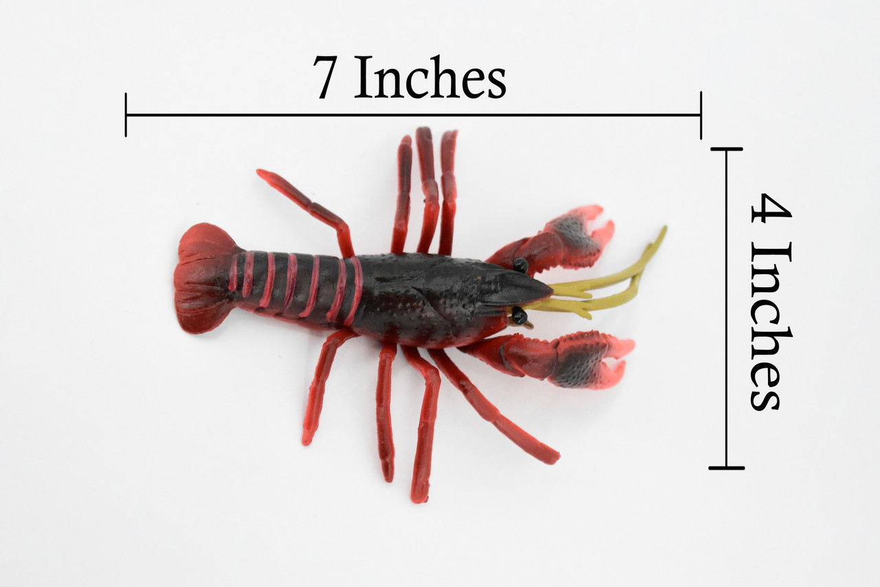 Crawfish, Crayfish, Museum Quality, Hand Painted, Rubber Crustaceans ...