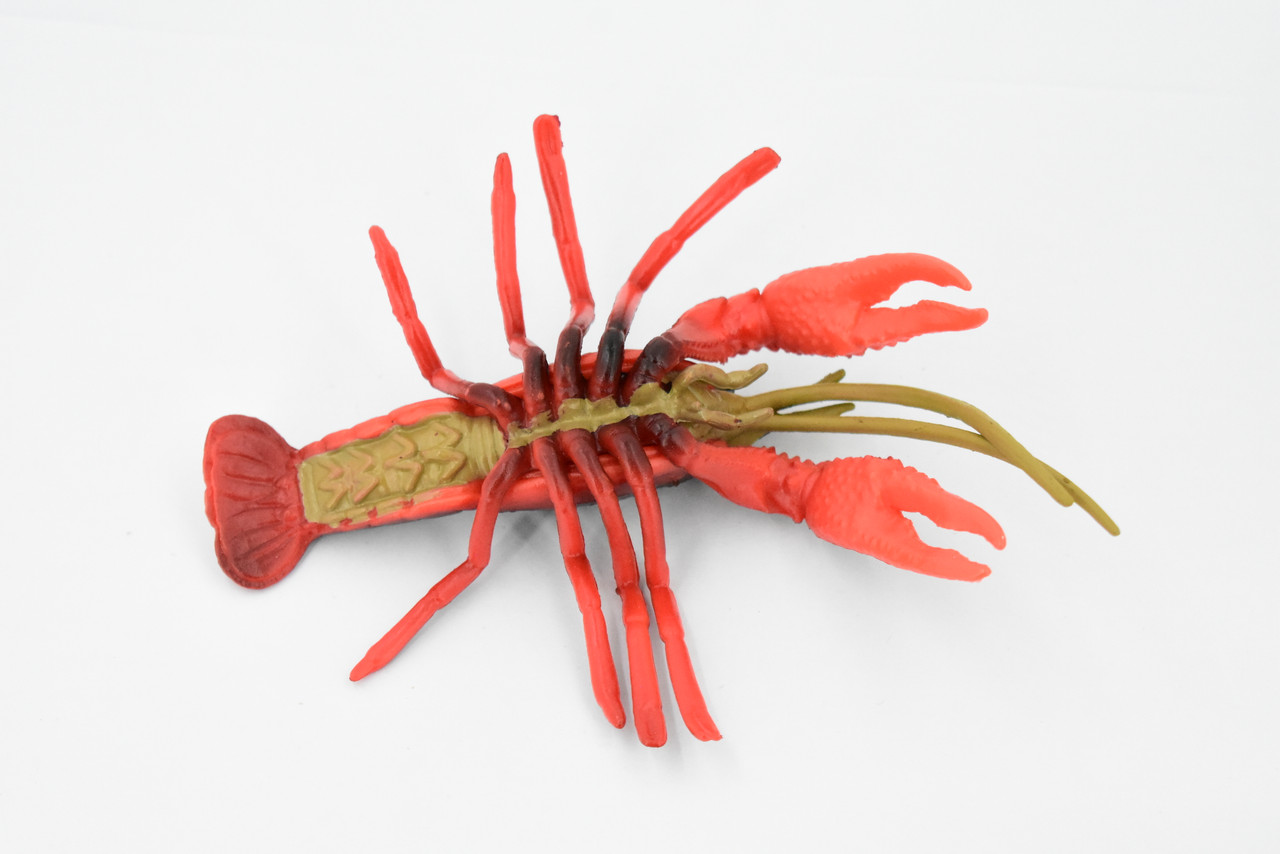 Crawfish, Crayfish, Museum Quality, Hand Painted, Rubber Crustaceans ...