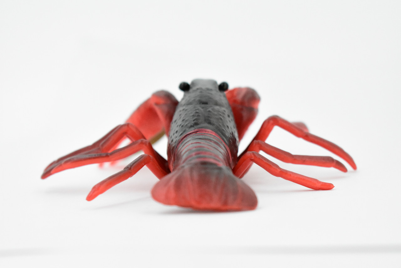 Crawfish, Crayfish, Museum Quality, Hand Painted, Rubber Crustaceans ...