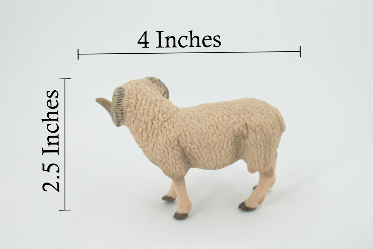Sheep, Ram, Domestic sheep, Museum Quality, Rubber, Educational ...