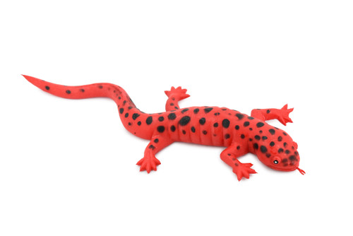 Reptiles & Amphibians - Amphibians - Newts & Salamanders - Collectible ...