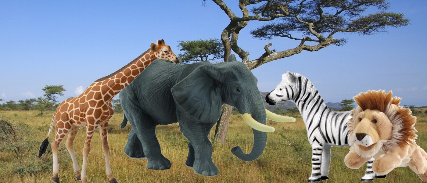 Collectible Wildlife Gifts