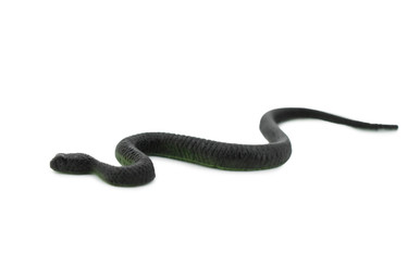 Snake, Black Water Snake, Rubber Reptile, Educational, Realistic Hand ...