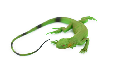 Iguana, Museum Quality, Rubber Reptile, Toy, Educational, Realistic ...
