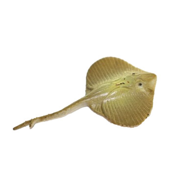 Sand Ray ~ Plastic Replica 1.5"W x 2.75"H~ F0034-B123 - Collectible ...