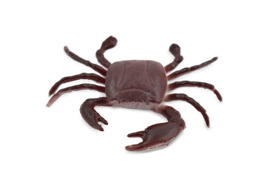 Crab, Small Rock Crab, Rubber, Crustaceans, Educational, Realistic ...