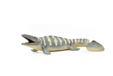 Tylosaurus Dinosaur, Museum Quality Plastic Replica 6" M025-B634 6 ...