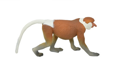 Monkey, Proboscis, Museum Quality Plastic Animal Toy, Educational ...