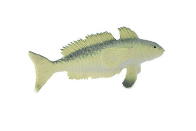 Gulf Kingfish, Whiting, Saltwater Fish, Texas , Rubber Fish, Hand ...