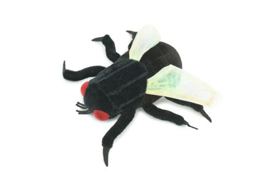 Fly, House Fly, Musca domestica, Domestic fly, Plush Design ...