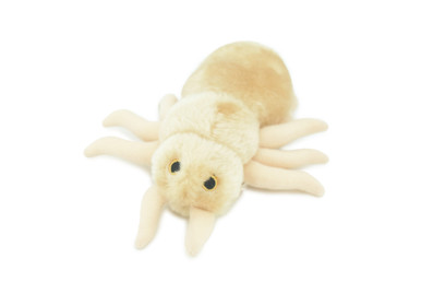 Louse, Pediculus capitis, Head lice, Insect, Parasite, Plush Design ...