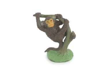 Common Marmoset, Pocket Monkeys, Rubber Primate, Animal, Educational ...