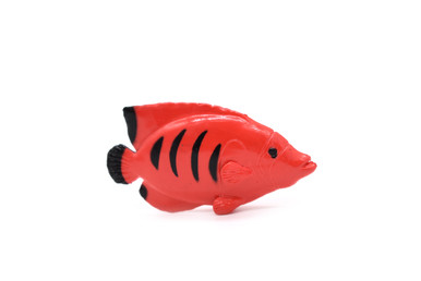 Angelfish, Flame Angel Fish, Tropical, Rubber Fish Design, Realistic ...