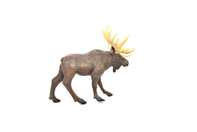 Moose, Museum Quality Plastic Animal, Educational, Toy, Kids, Realistic ...