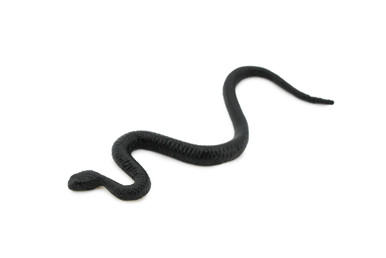 Snake, Black Mamba Snake, Rubber Reptile, Educational, Realistic Hand ...