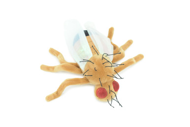 Fruit Fly, Drosophila melanogaster, Plush Insect Design, Educational ...