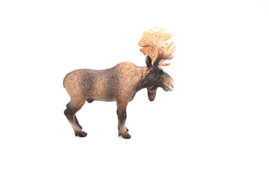 Moose, Museum Quality Rubber Animal, Educational, Toy, Kids, Realistic ...