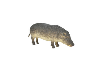 Pig, Wild, Feral hog, Very Nice Plastic Animal, Educational, Realistic ...