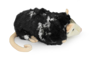 Opossum, Posam, Marsupial, Realistic, Lifelike, Stuffed, Soft, Toy ...