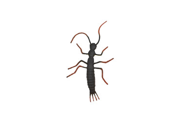Earwig, Flexible, Rubber Toy Animal, Realistic Figure, Model, Replica ...