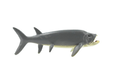 Xiphactinus, Extinct Fish, Fanged Tarpon, Rubber Animal, Realistic Toy ...