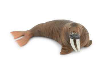 Walrus, Pinniped Marine Mammal, Museum Quality, Hand Painted, Rubber ...