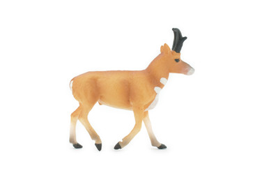 Antelope, American Pronghorn, Museum Quality, Hand Painted, Rubber ...