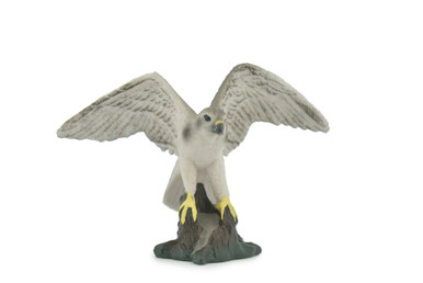 Bird, Falcon, Genus Falco, Peregrine, Museum Quality, Hand Painted ...