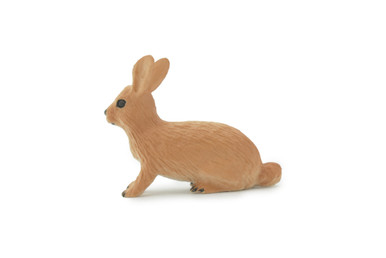 Rabbit, Hare, Bunny Rabbits, Museum Quality, Hand Painted, Rubber ...