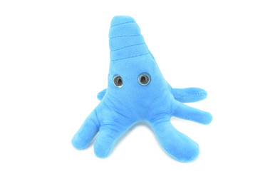 Amoeba, Microscopic creatures, Plush Amoeba proteus Design, Educational ...