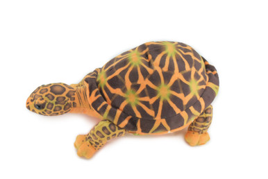 Box Turtle, Plush Animal, Soft, Stuffed Reptile Toy, Educational ...
