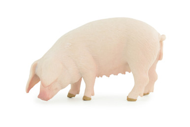 Pig, Sow, Museum Quality, Educational, Hand Painted, Rubber Animal ...