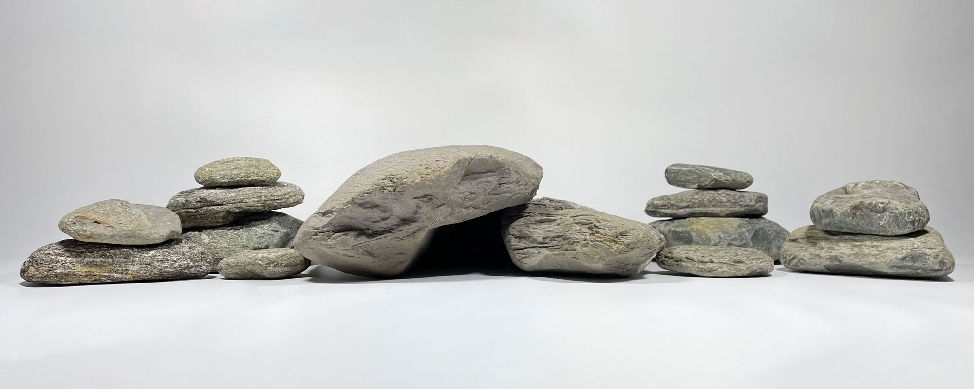 Reptile & Amphibian Habitat Accessories | Reptile Habitat Decorations ...