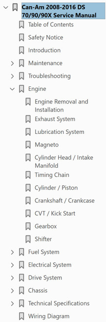 Can-Am 2010 DS 90 Service Manual