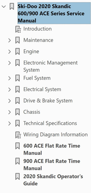 Ski-Doo 2020 Skandic SWT 600 ACE Snowmobiles Service Manual