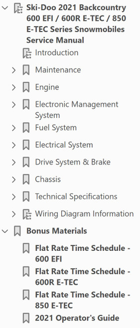 Ski-Doo 2021 Backcountry 850 E-TEC Snowmobiles Service Manual