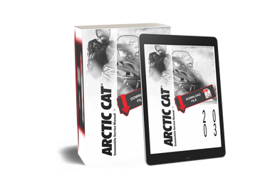 Arctic Cat 2003 Firecat 700 EFI Snowmobiles Service Manual