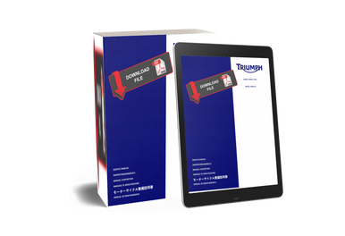 Triumph 2016 Speed Triple R Service Manual