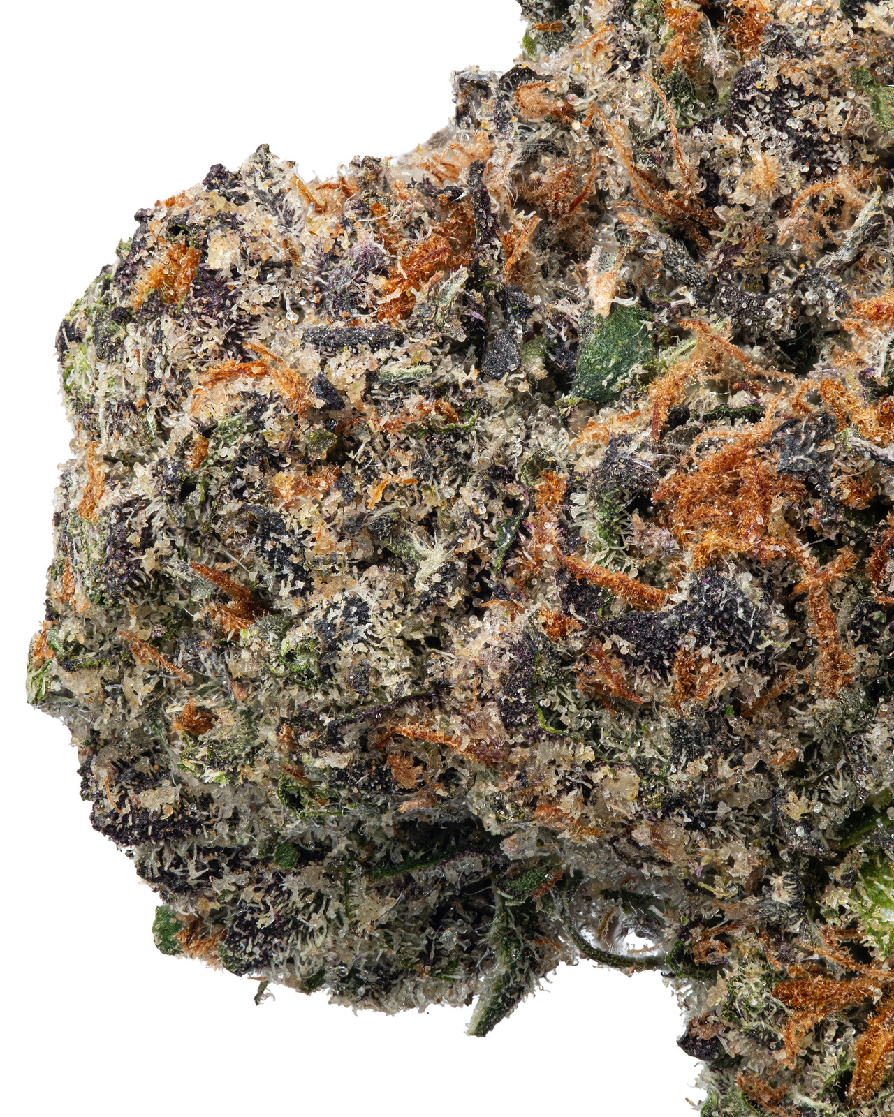 THCa Cereal Milk – Sweet Balanced Hybrid | WNC CBD